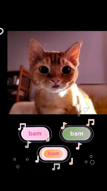 My cat sings Bam Bam as made famous by Camila Cabello - PetStar