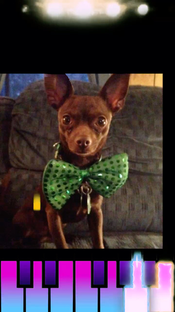 My dog Odis sings Jump as made famous by Van Halen - PetStar