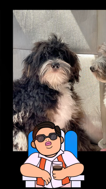 My dog sings Gangnam Style as made famous by PSY - PetStar