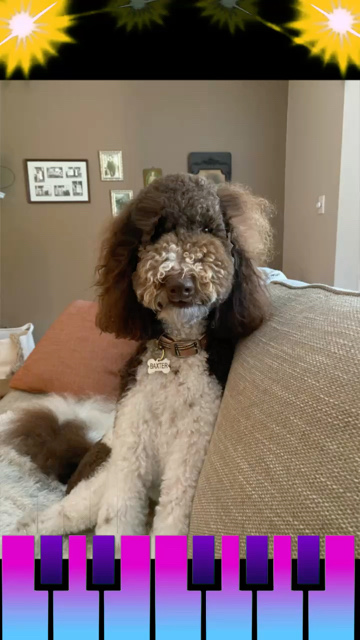 My dog sings Jump as made famous by Van Halen - PetStar