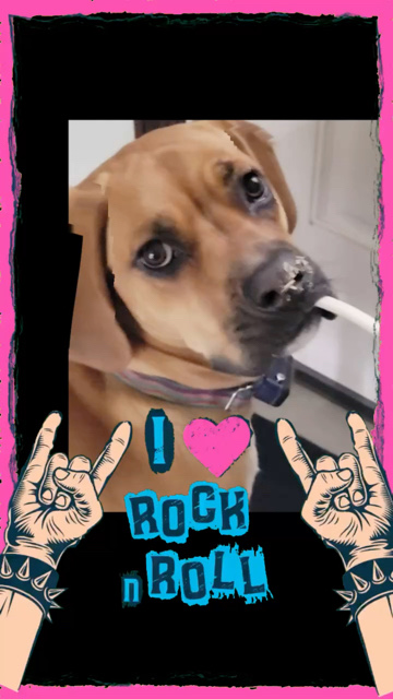 My dog sings I Love Rock 'n' Roll as made famous by Joan Jett and the ...