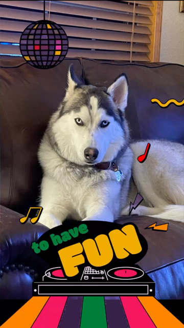 My dog sings Girls Just Want To Have Fun as made famous by Cyndi Lauper ...