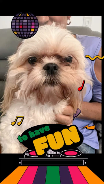 My bird Pippy Longstocking sings Girls Just Want To Have Fun as made ...