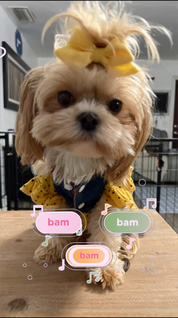 My bird Pippy Longstocking sings Bam Bam as made famous by Camila ...