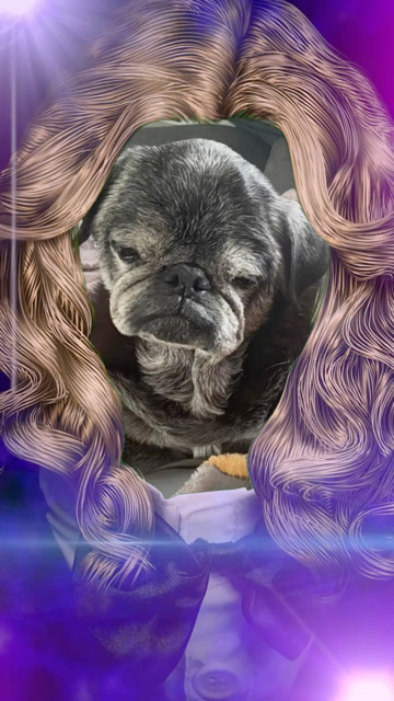 My dog sings Sexyback as made famous by Justin Timberlake feat ...