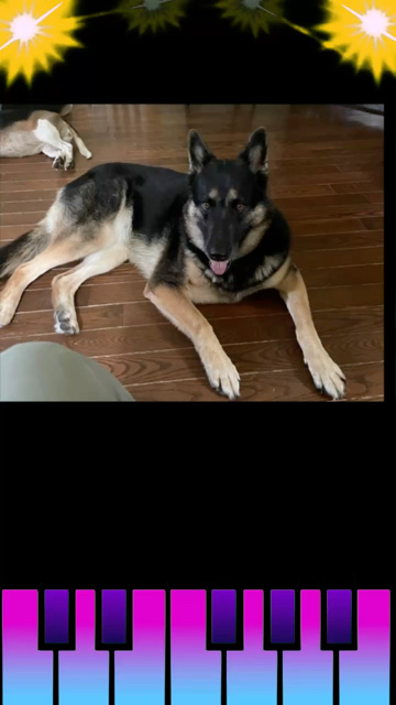 My dog sings Jump as made famous by Van Halen - PetStar