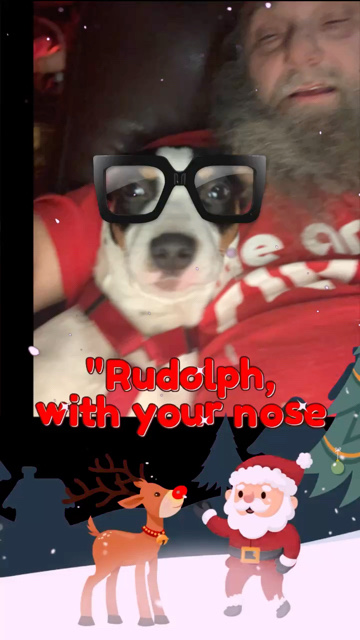 My dog Flo sings Rudolph the Red-Nosed Reindeer as made famous by Harry ...